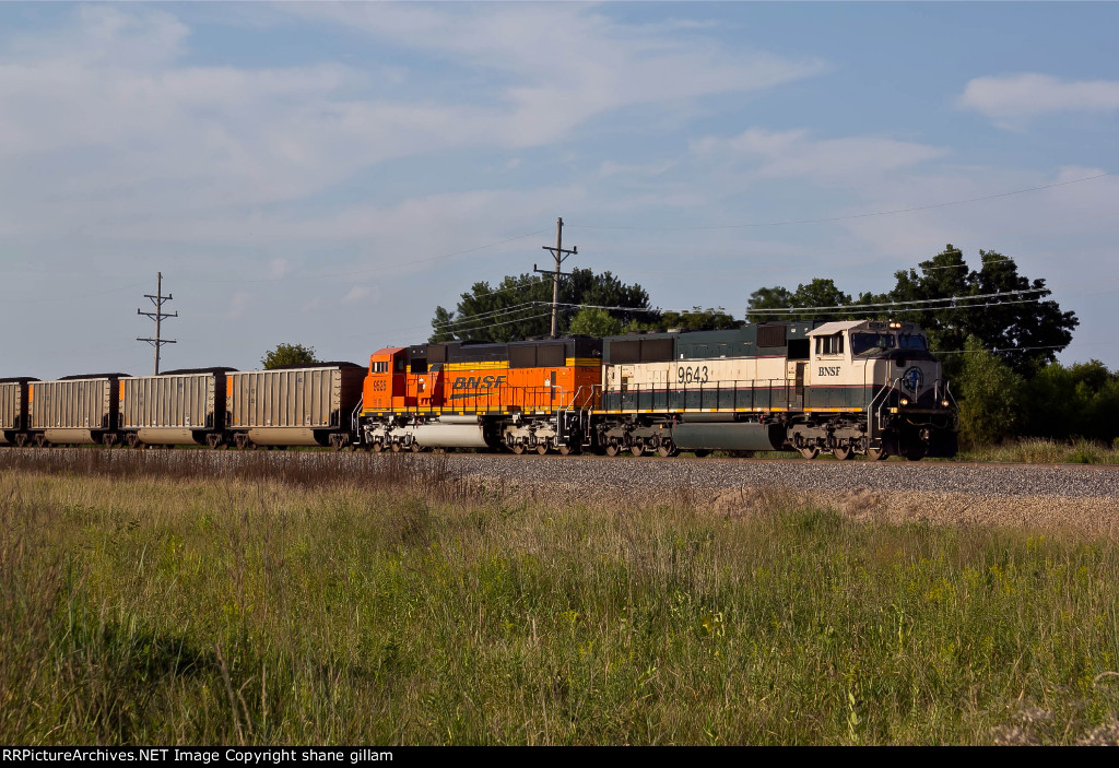 BNSF 9643 screams EMD!!!